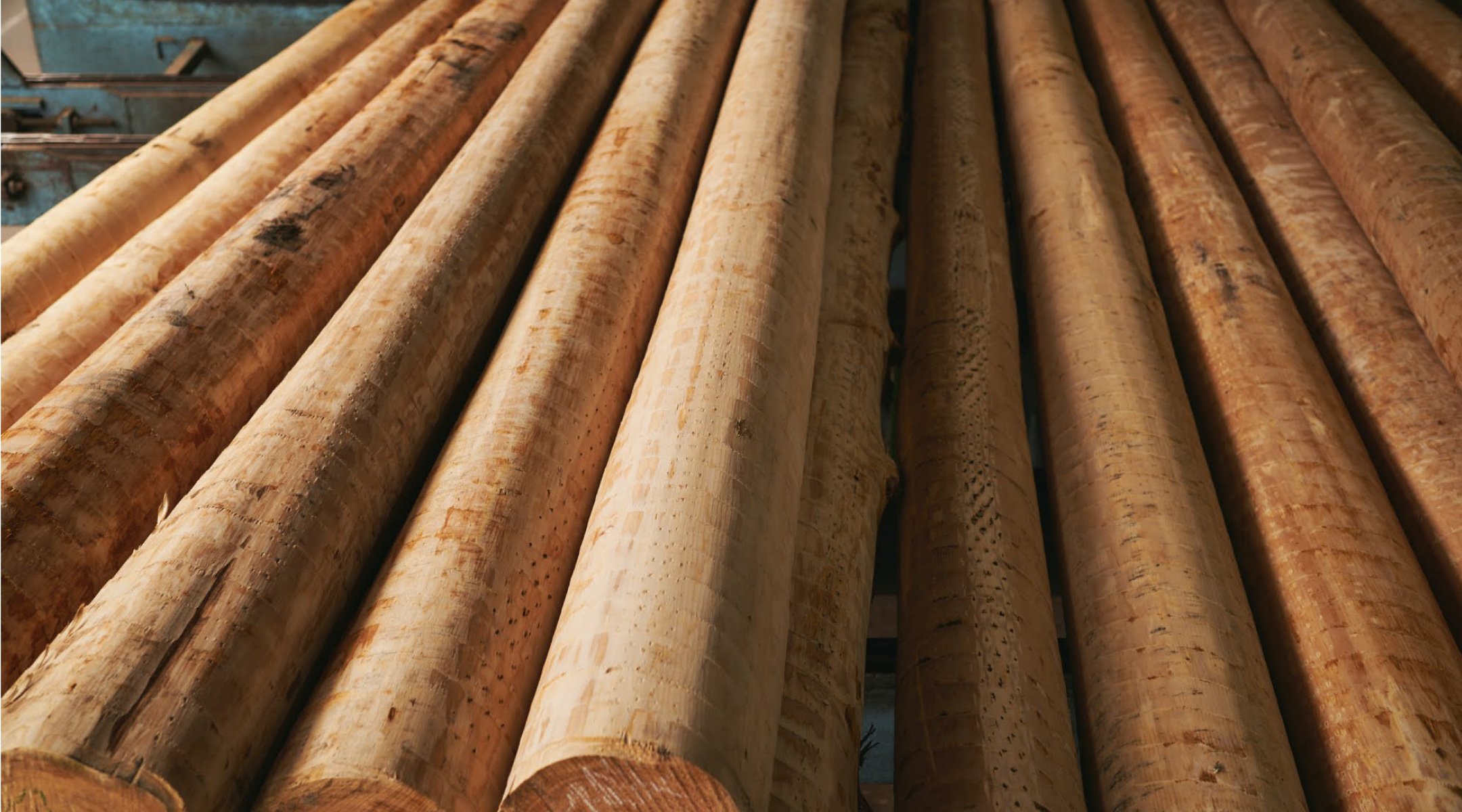 都城木材株式会社